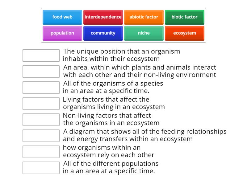 Ecosystem key words - Match up