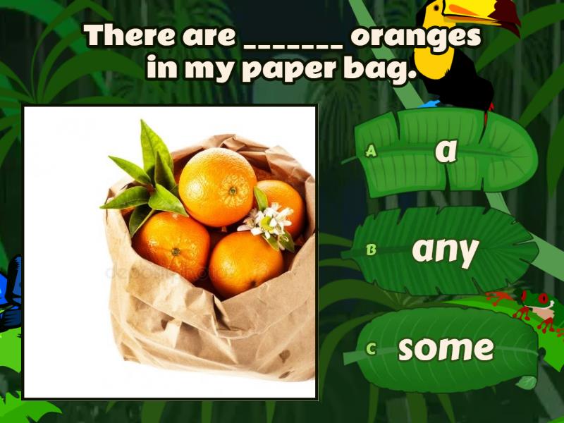 AS3 Unit 4 Some/any - Quiz