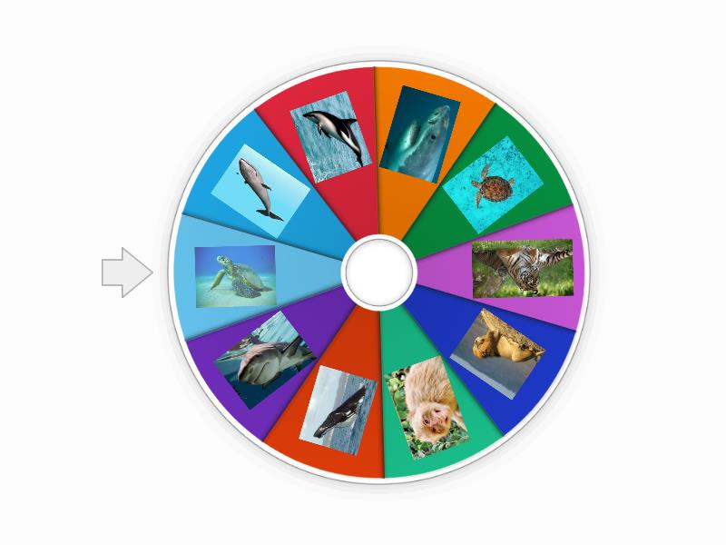 Animals - Random wheel