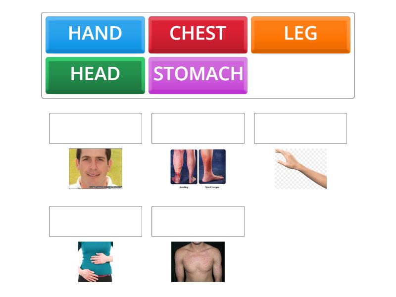 PARTS OF THE BODY - Match up