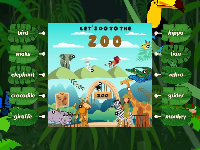 zoo - Labelled diagram