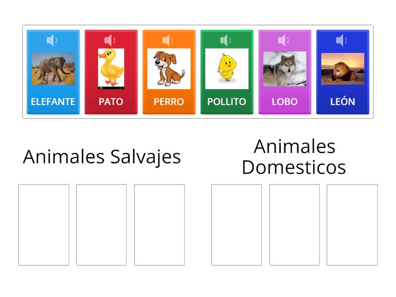 Los animales salvajes y domesticos - Ordenar por grupo