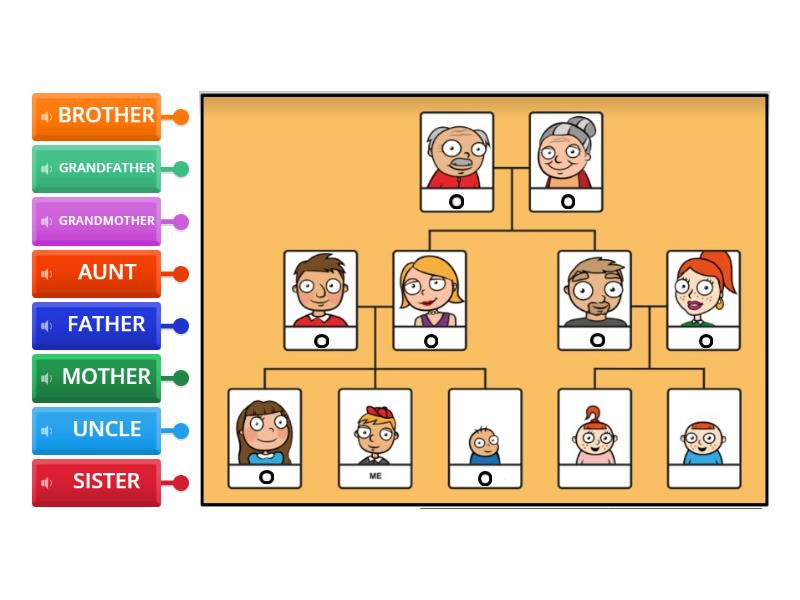 KB3 U2 Family - Labelled diagram