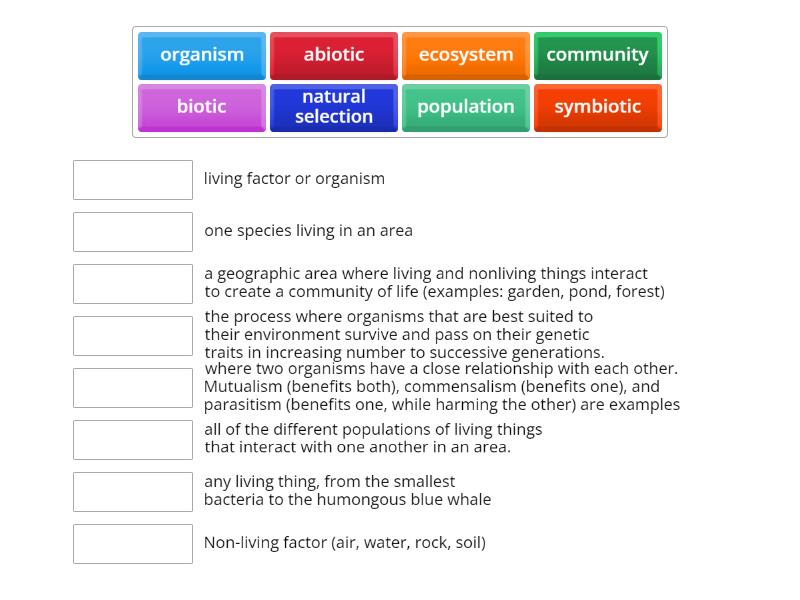 Life science vocabulary - Match up