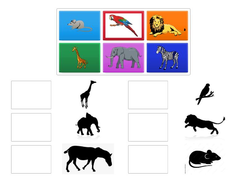 Wild animals - Match up