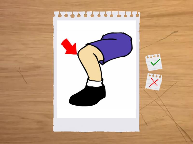 Body parts - Flash cards