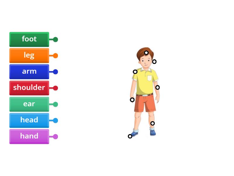 Stage 1 - Body Parts - Labelled diagram
