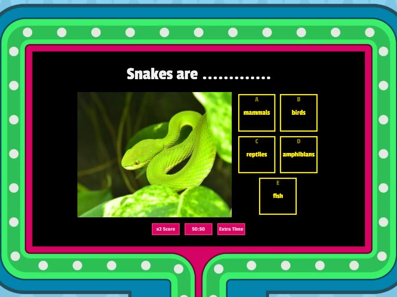 Animals Classification - Gameshow quiz