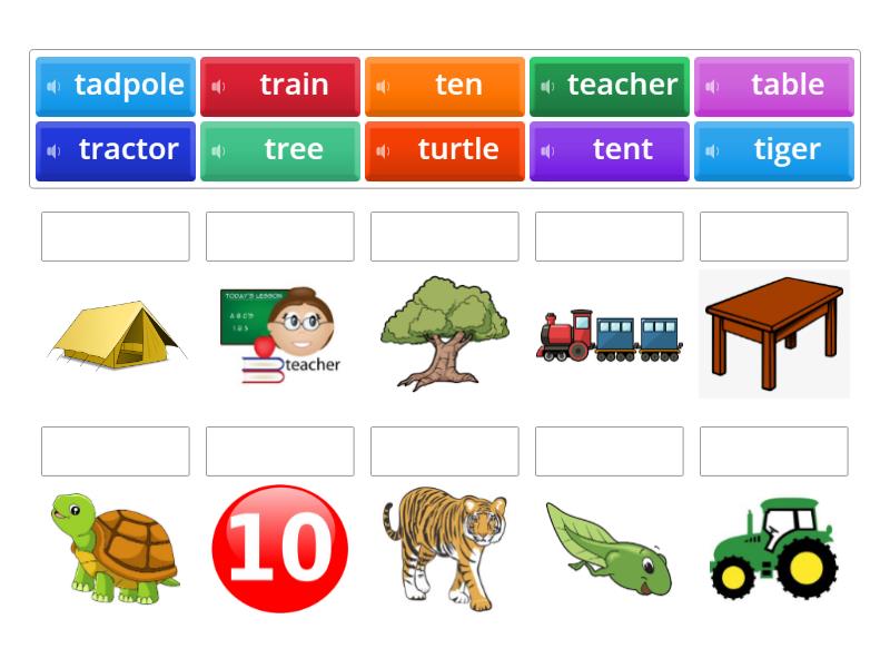Letter Tt - Match up