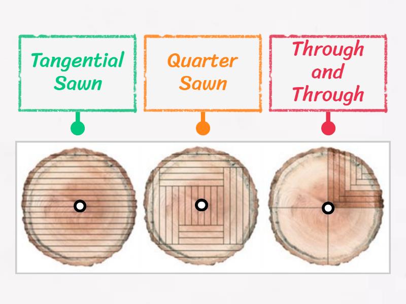 Timber Conversion - Labelled diagram