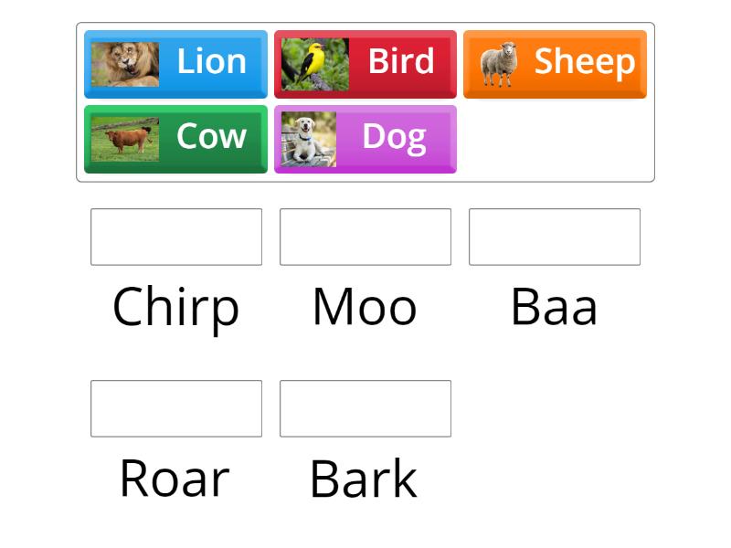 Animal sounds - Match up