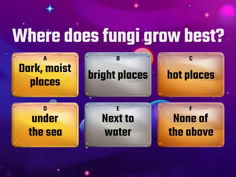 Fungi Fun - Quiz