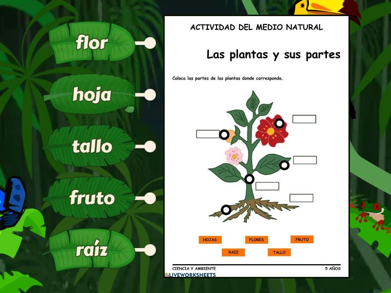 plantas ejemplo - Labelled diagram
