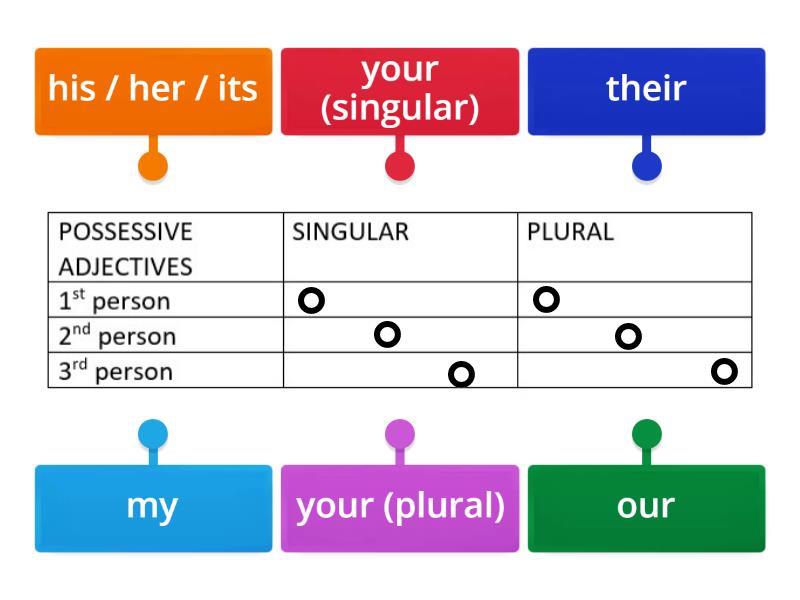 Possessive Adjectives - Labelled diagram