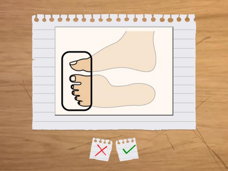 Recognize body parts (1) - Flash cards