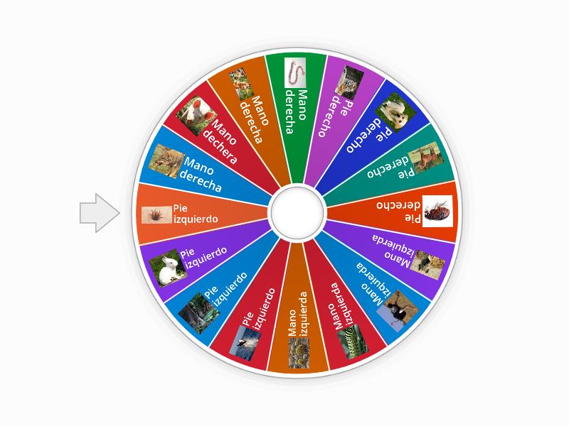 Twister animals - Spin the wheel