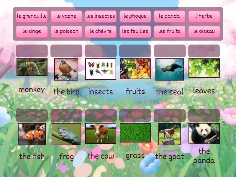 Ce que mangent les animaux - Match up