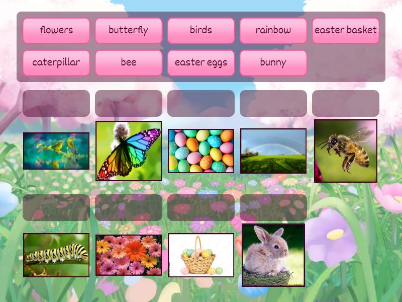 spring vocabulary - Match up
