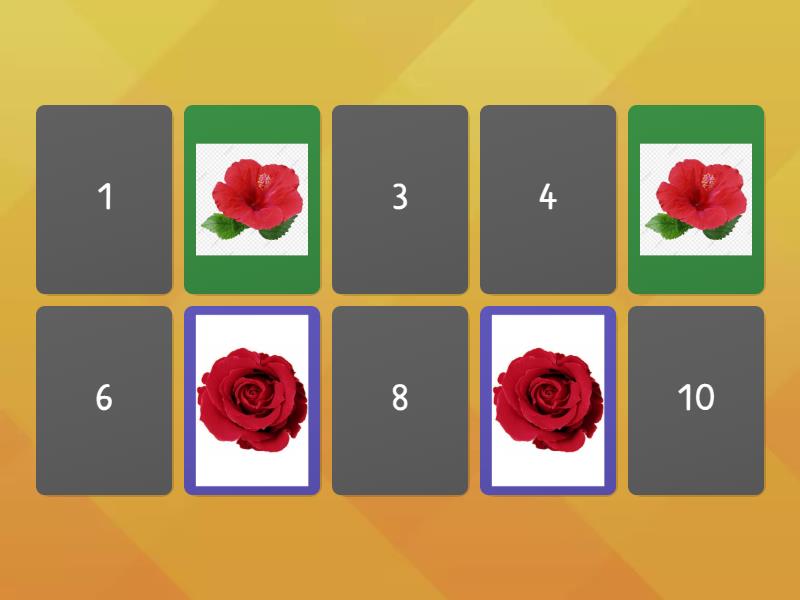 Aktiviti 2 : Memadankan gambar yang sama - Matching pairs