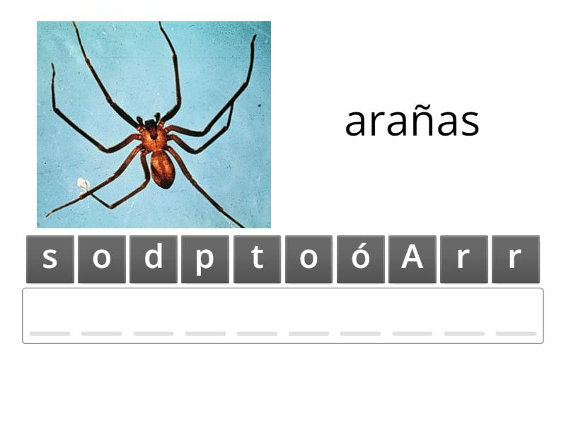 Animales Invertebrados - Anagrama