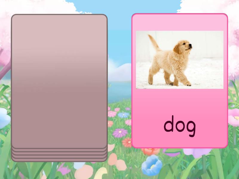 Unit 4: Letter Dd - Speaking cards