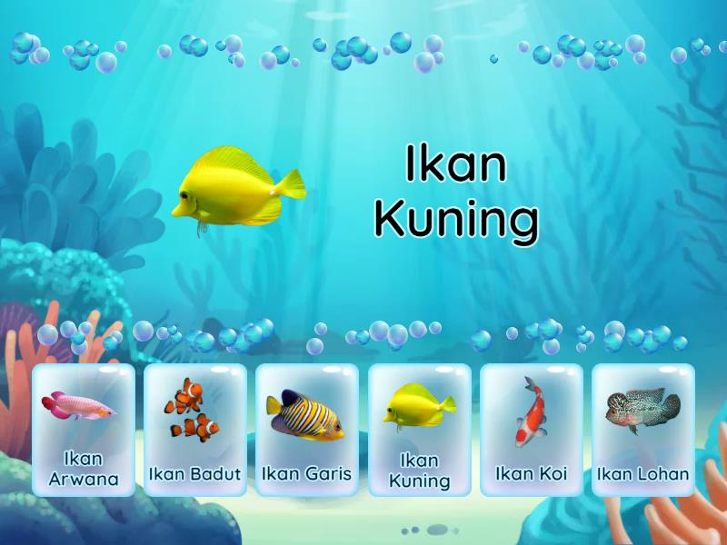 Jenis Ikan - Find the match