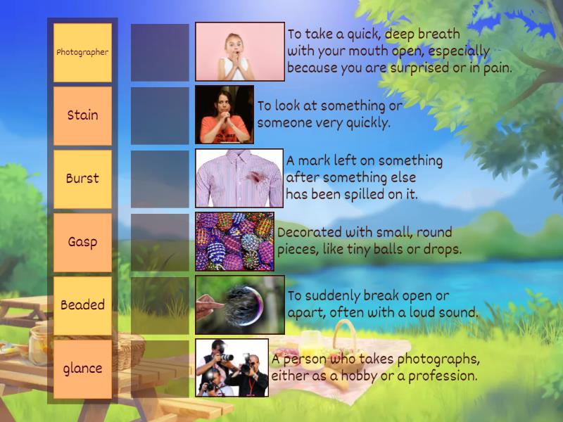 RAZ M - Picture Day - Vocabulary Match - Match up