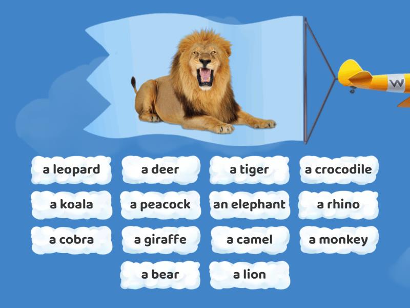 Spotlight 5, M.5a,b - Animals - Find the match