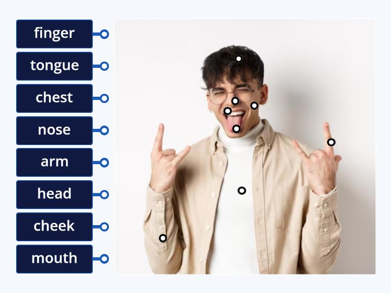 body parts revision - Labelled diagram