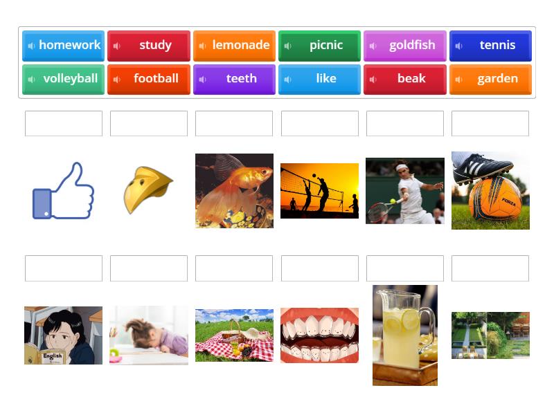 Vocabulary 22 - Match up