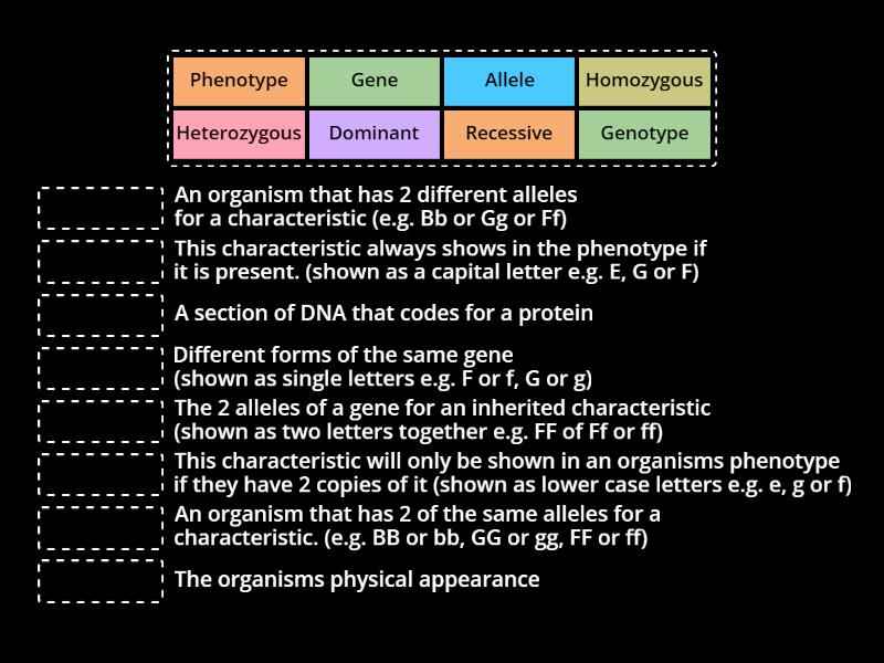 S3 Inheritance Key Terms - Match up
