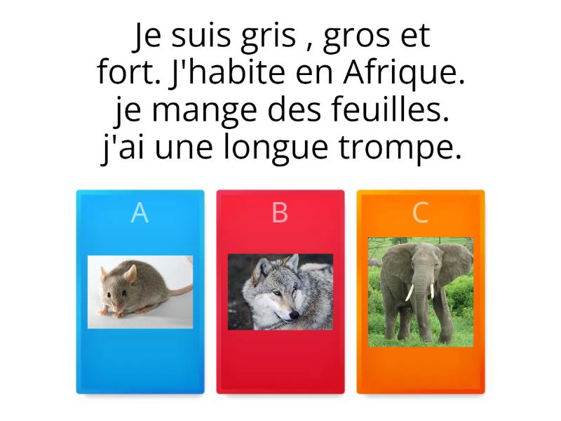 les devinettes sur les animaux - Quiz