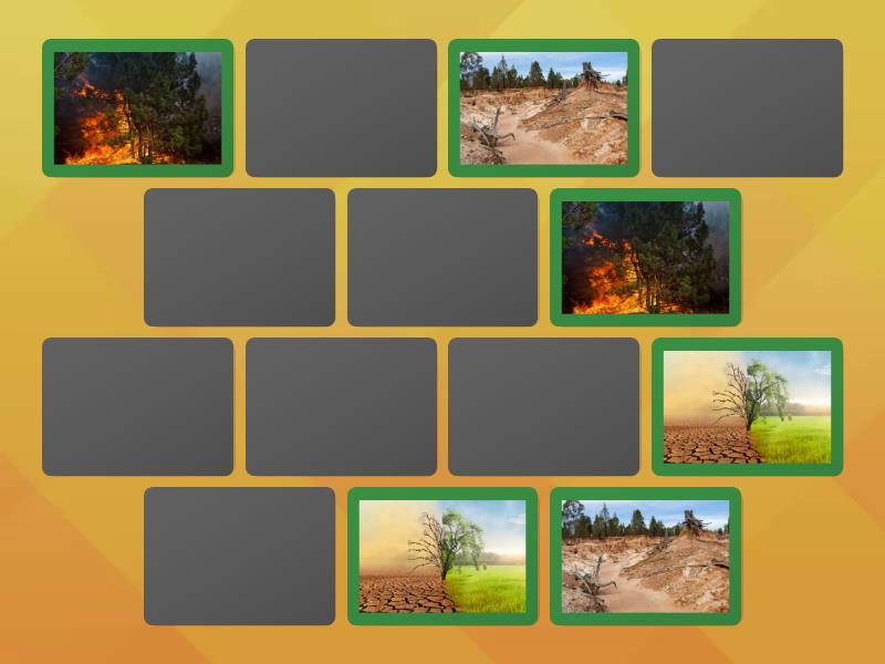 Juego de Memoria - Cambio Climático - Matching pairs
