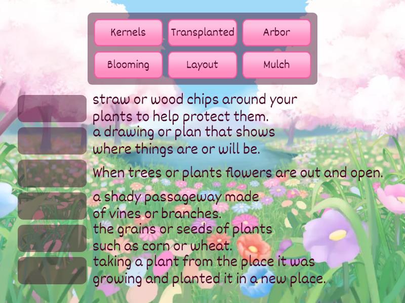 It's our Garden Vocab - Match up