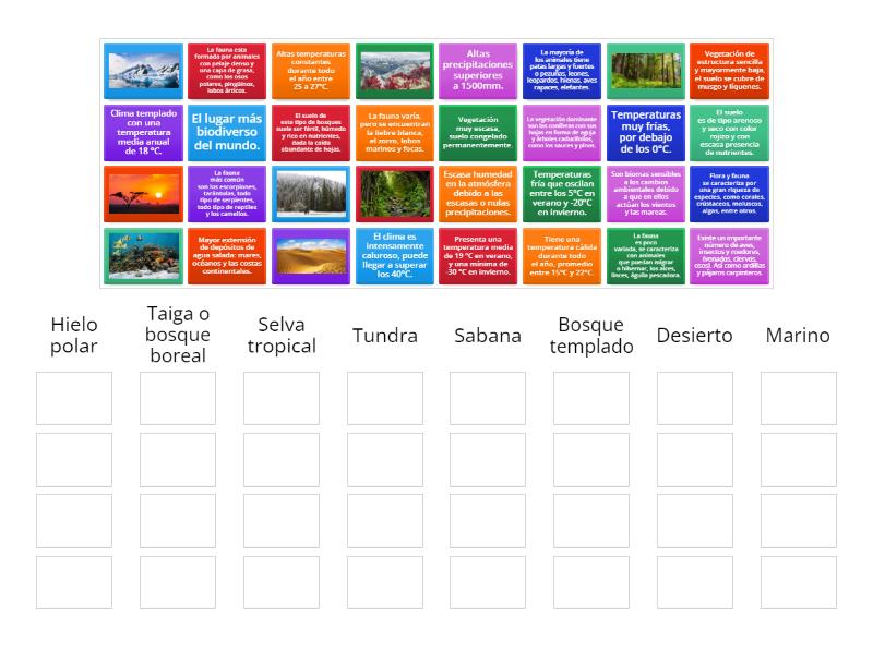 BIOMAS DEL MUNDO - Group sort