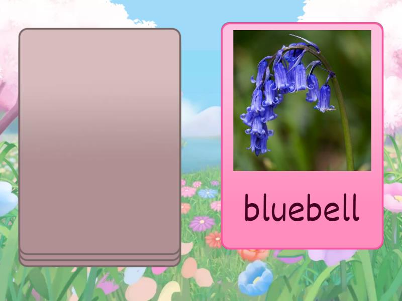 Spring flowers - Speaking cards