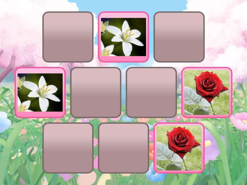 Memory flores de Primavera - Matching pairs