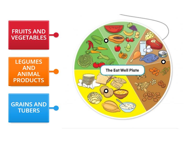 THE EAT WELL PLATE - Labelled diagram
