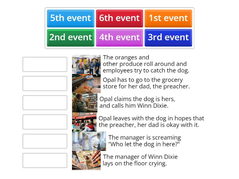 Because of Winn Dixie - Match up