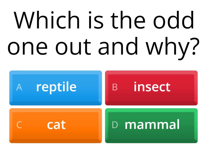 Odd one out Animal vocabulary - Quiz