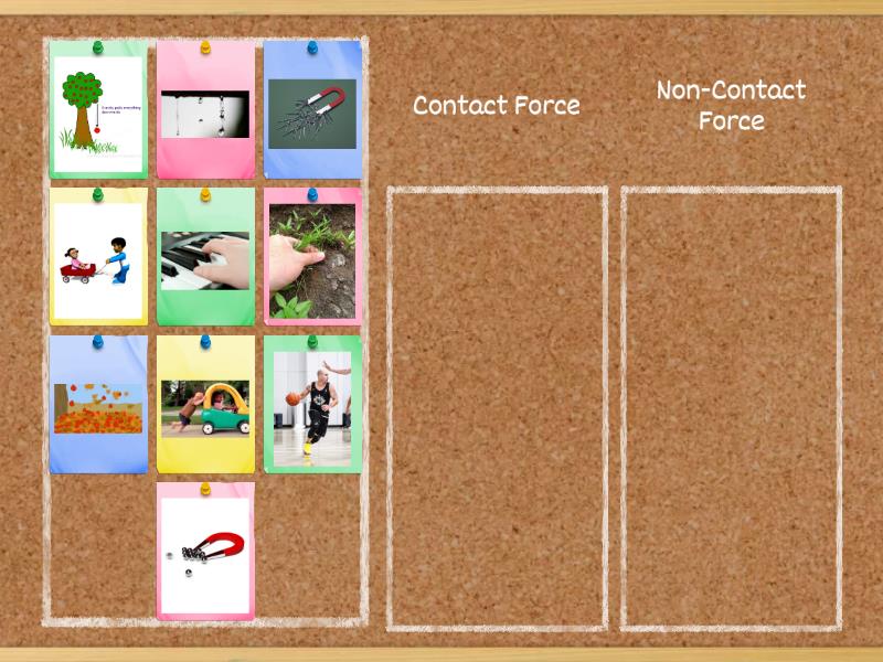 Contact and Non-Contact Forces - Group sort