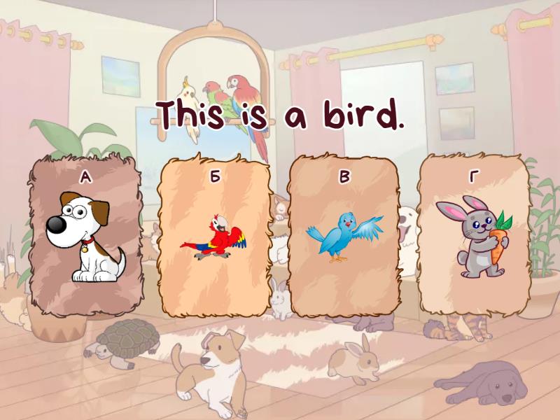 GoG1. Unit 7. Lesson 7.3. Revision of Pets Vocabulary - Quiz