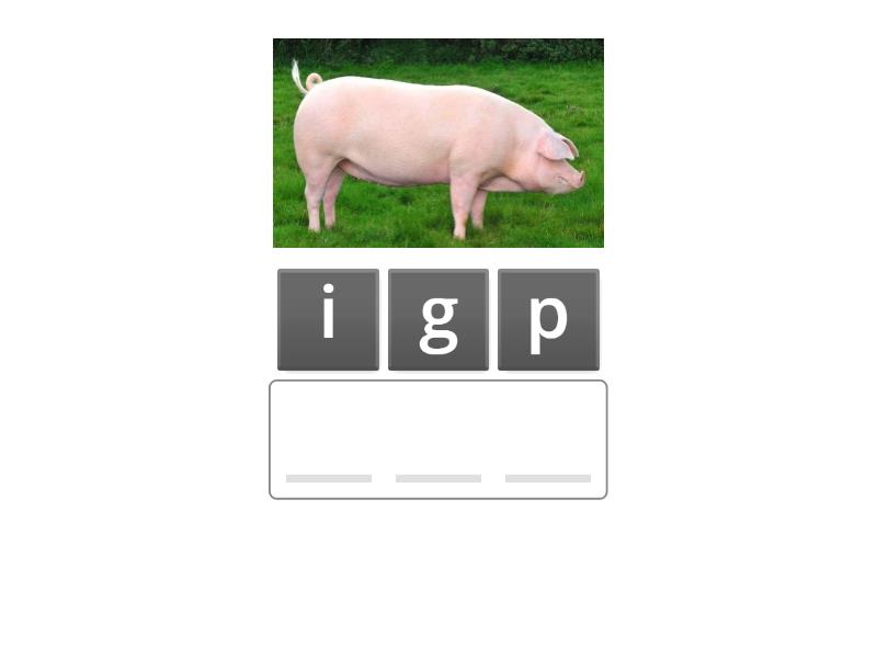 Farm animals Pr2 U2 - Anagram