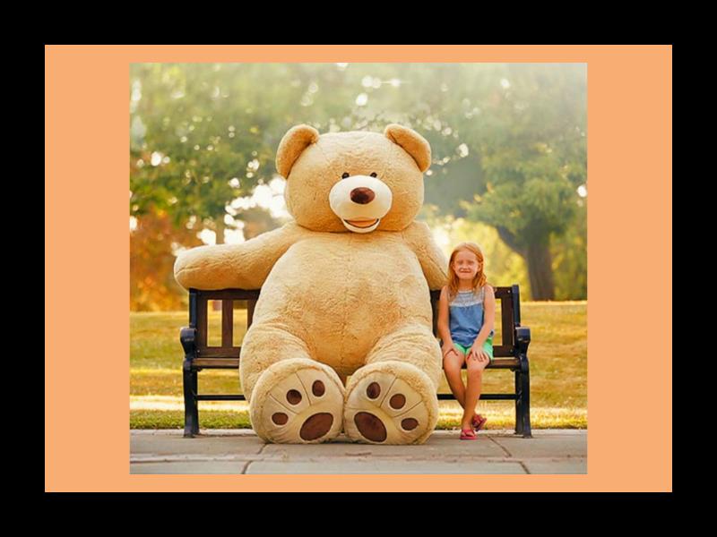 Module 2b. My Things - Flash cards