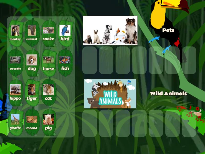 1 Unit 7 Wild animals/Pets sorting - Group sort