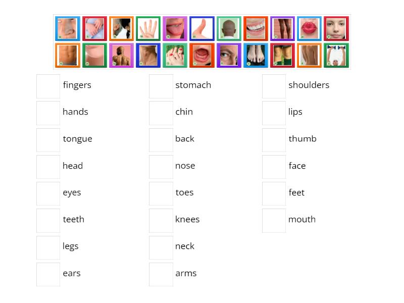 Parts of the body - EF Int 4th Ed - Match up