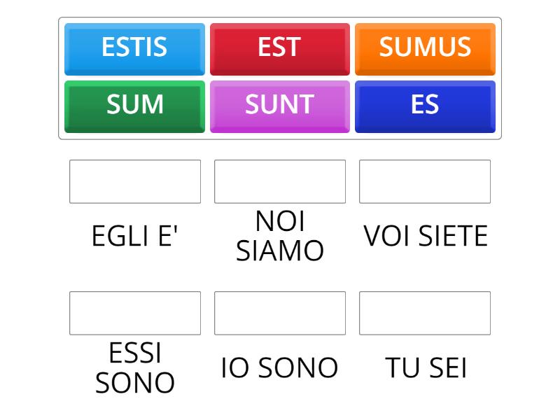 Latino: Presente indicativo di Sum - Match up