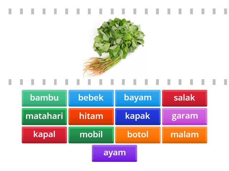 cocokan kata yang tepat sesuai dengan gambar - Find the match