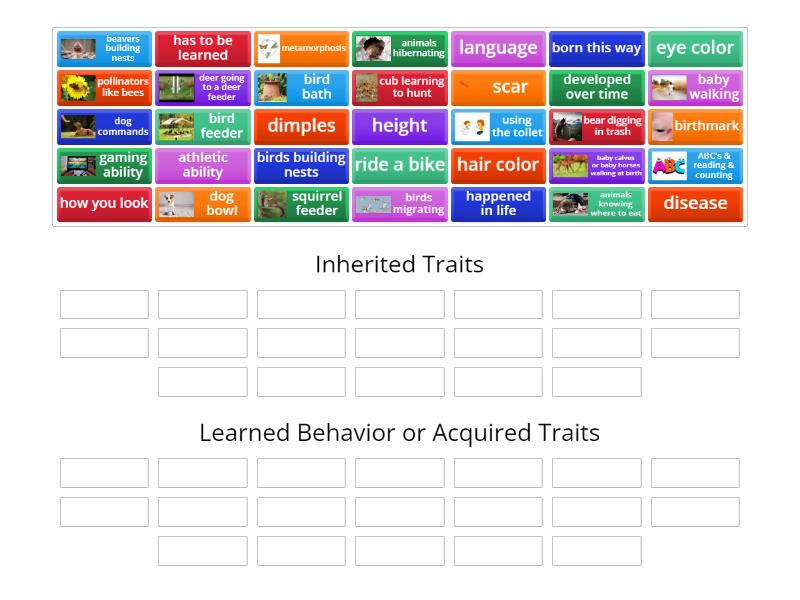 Inherited Traits, Learned Behavior, Acquired Traits - Group sort
