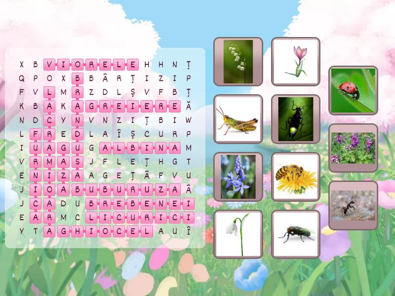 insecte si flori de primavara - Wordsearch
